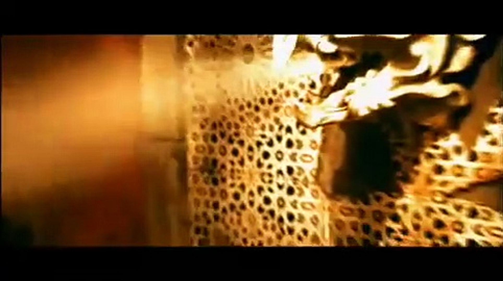 The Steam Experiment