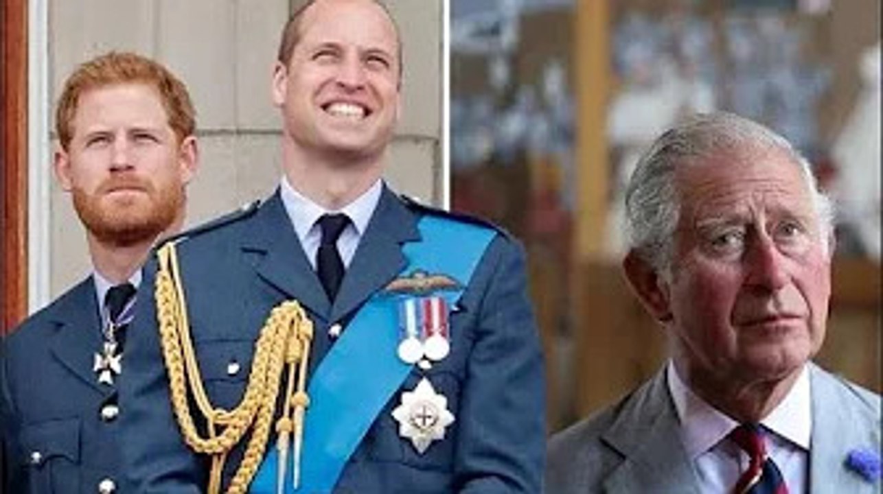 Le prince William et Harry au coude à coude dans un nouveau sondage ...