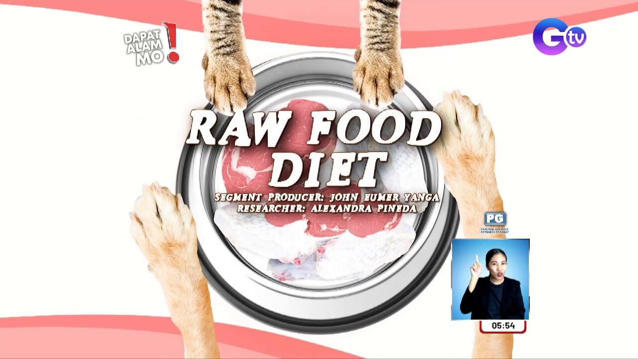 Pagkain ng mga aso, sangkap sa raw food diet?! | Dapat Alam Mo! - video ...