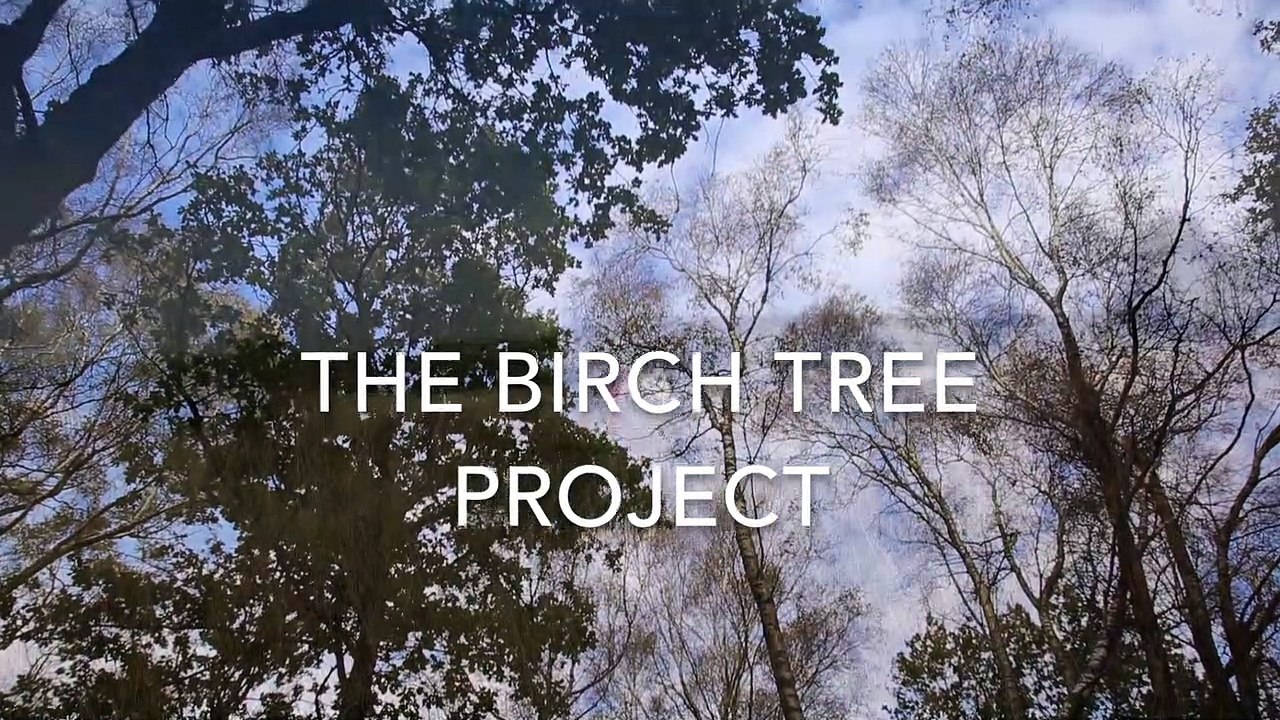 The Birch Tree Project explained - video Dailymotion