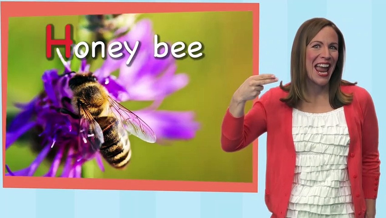 Bug ABCs _ Rachel and the Treeschoolers _ Kids Songs _ Alphabet ...