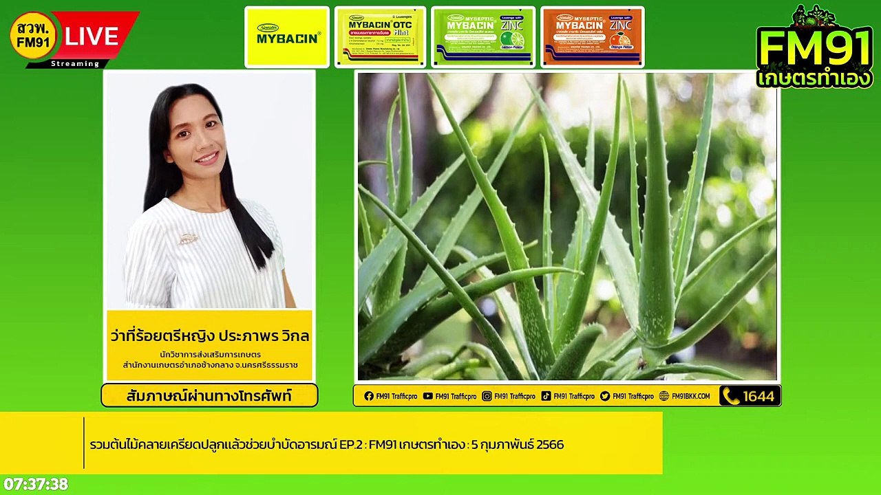 รวมต้นไม้คลายเครียดปลูกแล้วช่วยบำบัดอารมณ์ EP.2 : FM91 เกษตรทำเอง : 5 กุมภาพันธ์ 2566 - video ...