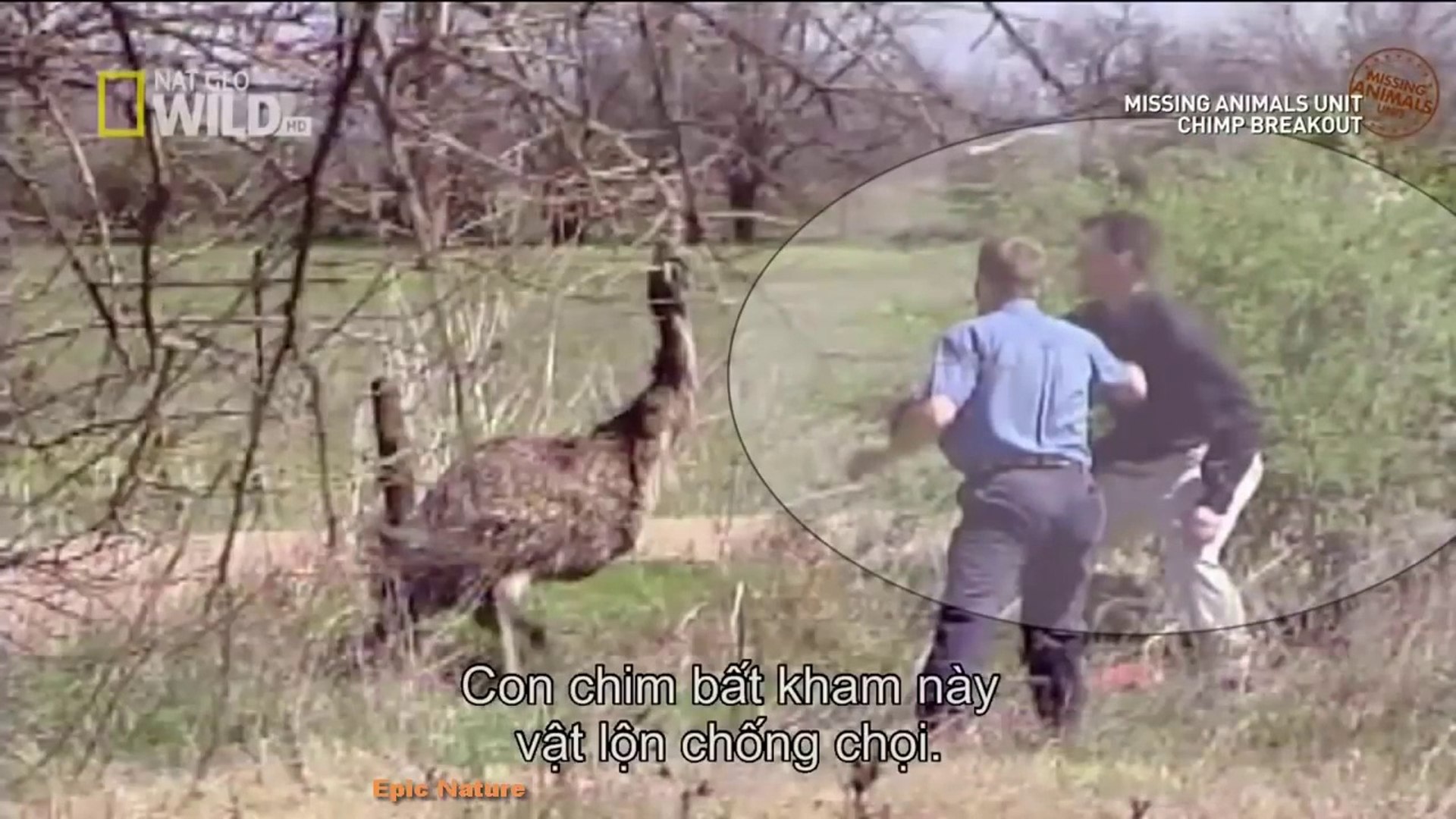 Ostrich Kills Man