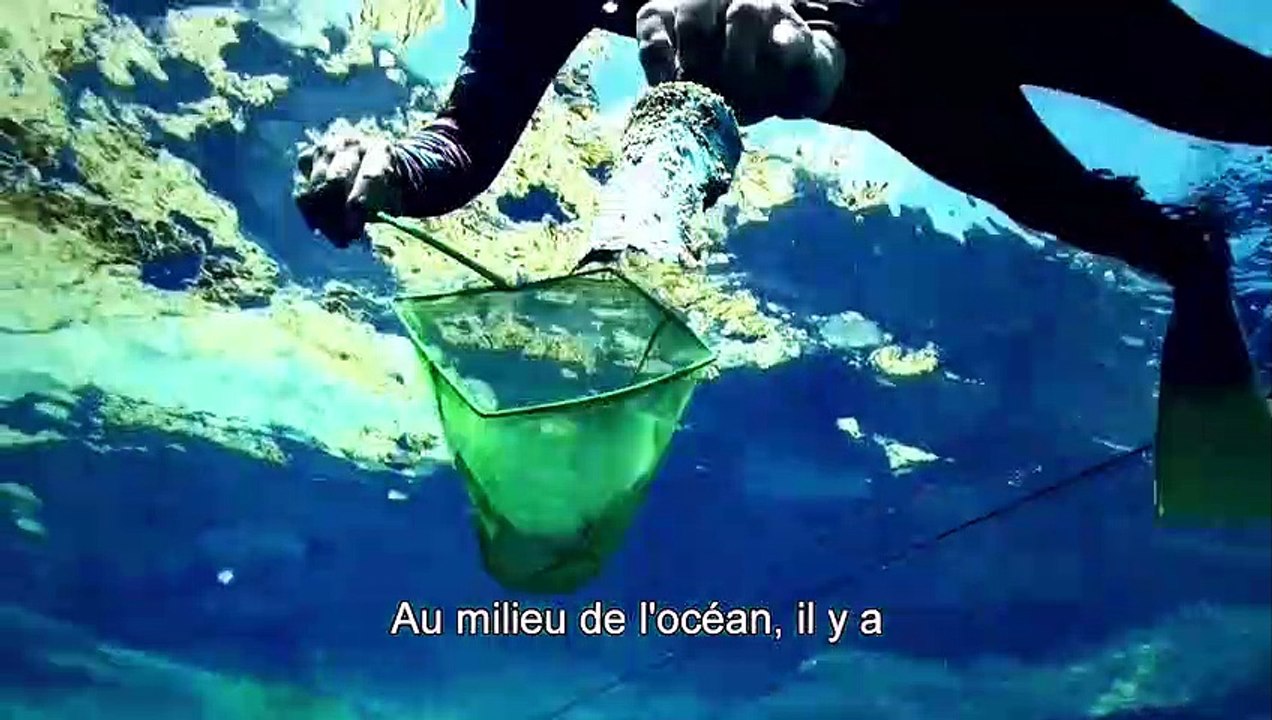 Trashed | movie | 2012 | Official Trailer - video Dailymotion