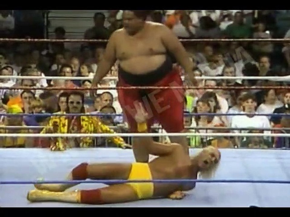 Hulk Hogan vs Yokozuna - King of the ring 1993 - video Dailymotion