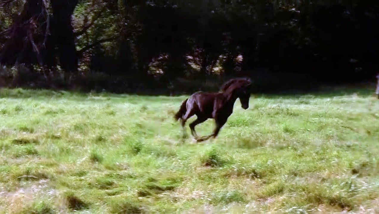 Black Beauty | movie | 1994 | Official Trailer - video Dailymotion