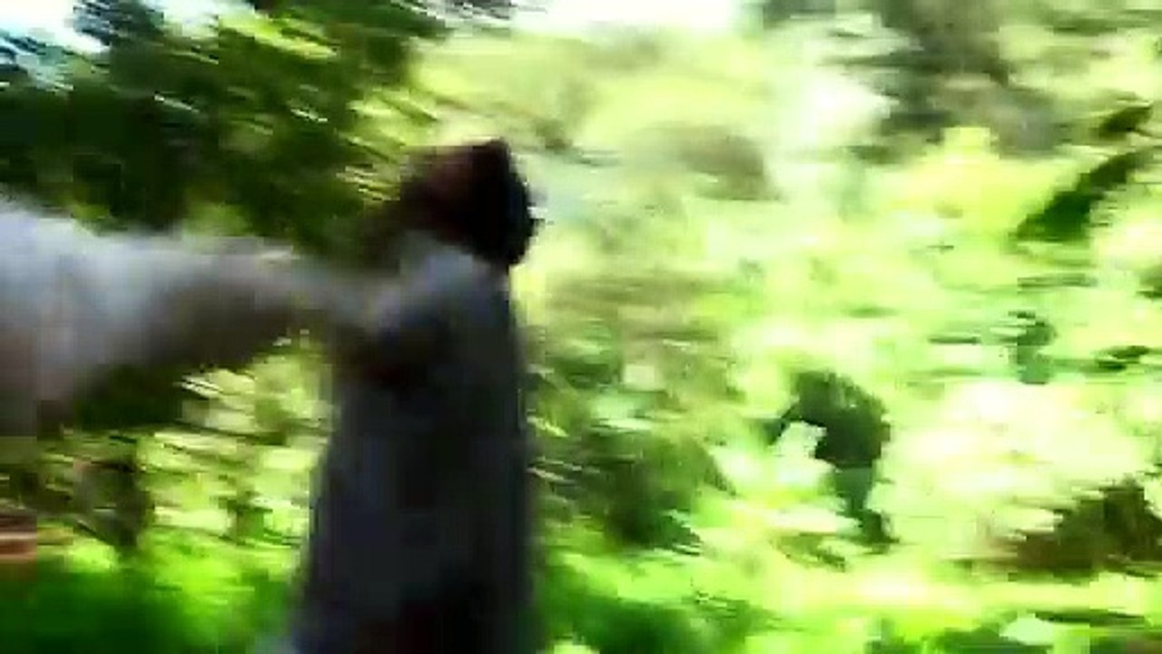 Di Antara Mendung dan Kabutnya Kota Poso | movie | 2021 | Official ...