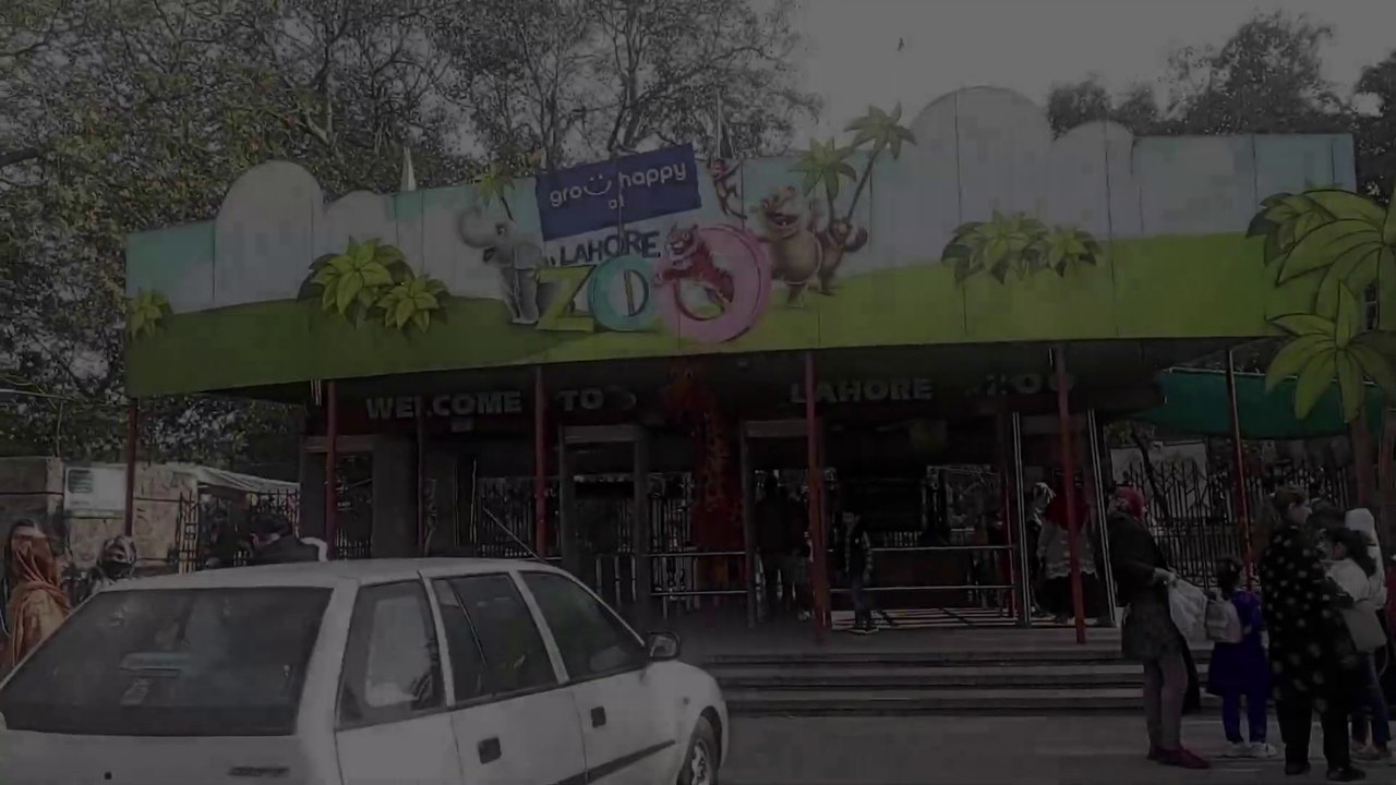 Zoo Vlog - video Dailymotion