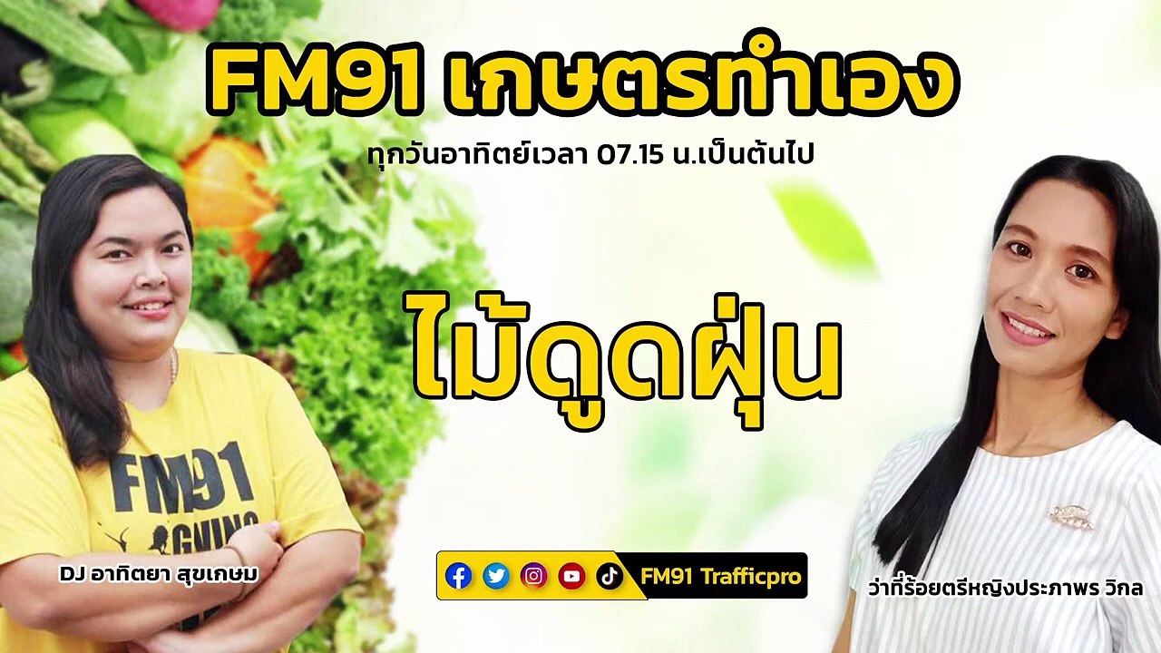 ไม้ดูดฝุ่น : FM91 เกษตรทำเอง : 12 กุมภาพันธ์ 2566 - video Dailymotion