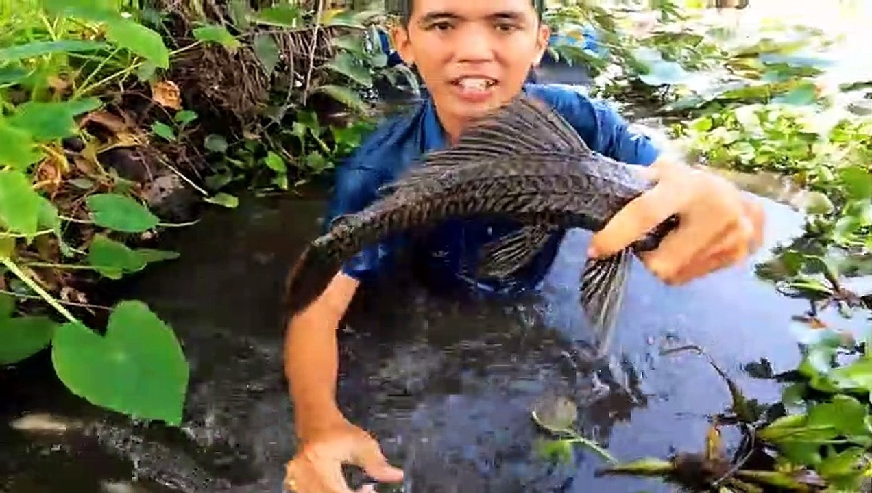 Sang Vlog - 360H Sinh Tồn Tìm Thức Ăn Trên Cánh Đồng Ruộng Sen Bỏ Hoang ...