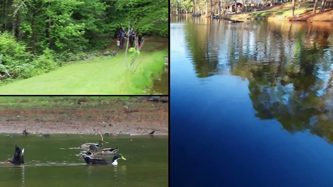 Jep $$ Jessica - Growing the Dynasty - Se1 - Ep12 HD Watch - video ...