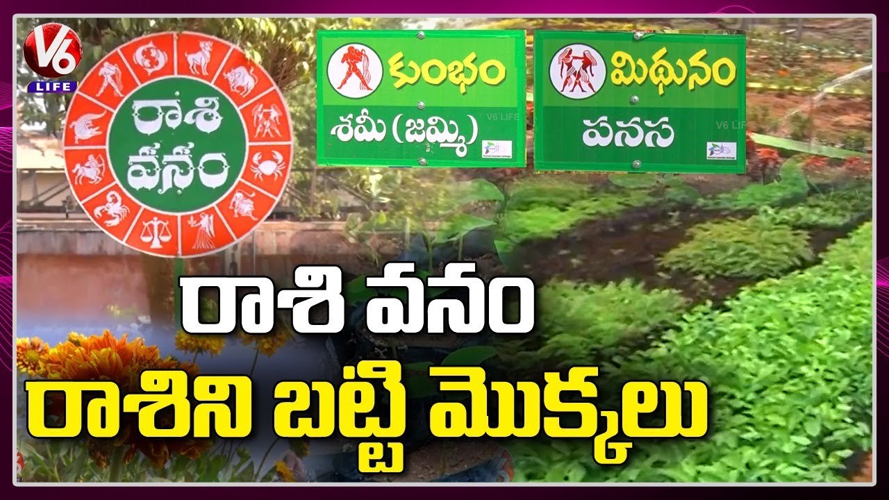 Rasi Vanam : Zodiac Signs Plants | Prakruthi Vanam | Karimnagar | V6 ...