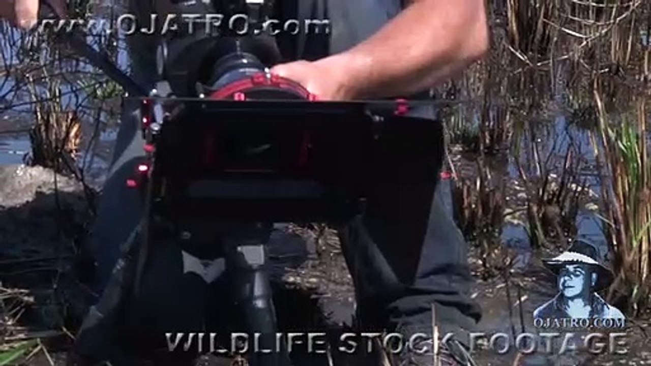 Python Attacks 03 Aggressive Rock Python Music - Vidéo Dailymotion