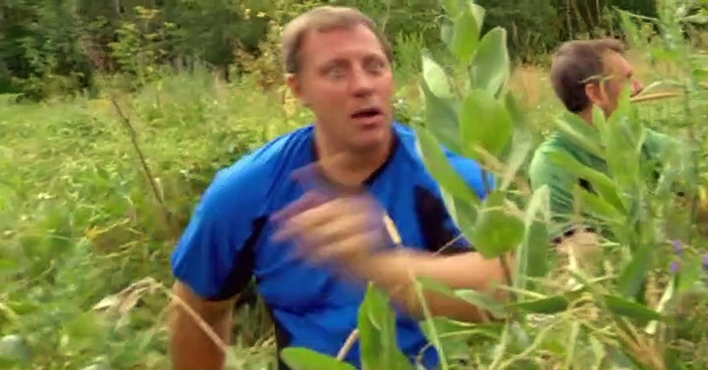 Wild Kratts Wild Kratts S01 E009 – Voyage of the Butterflier XT - video ...