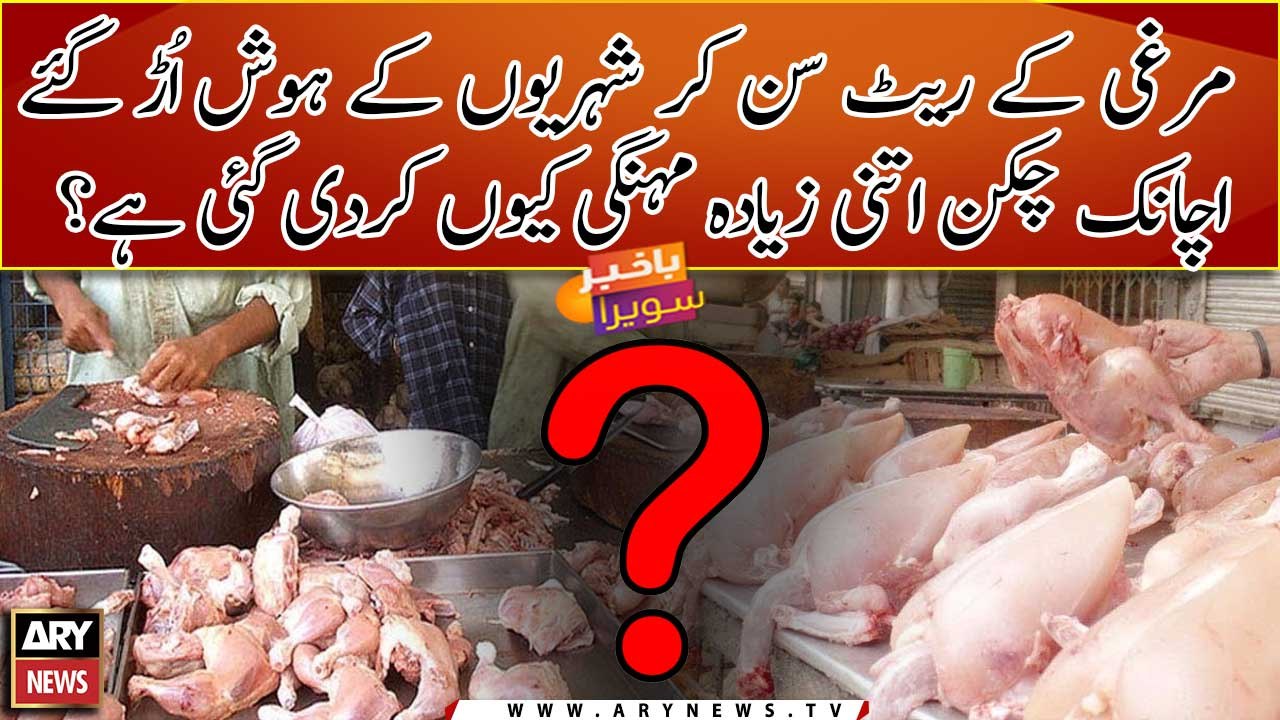 Why are chicken prices suddenly touching sky-high? - video Dailymotion