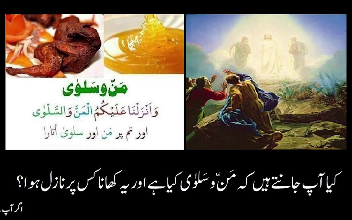 Mann o Salwa || مَنّ و سَلوٰی کیا ہے || Islamic Information || Rooh-e-Insan - video Dailymotion