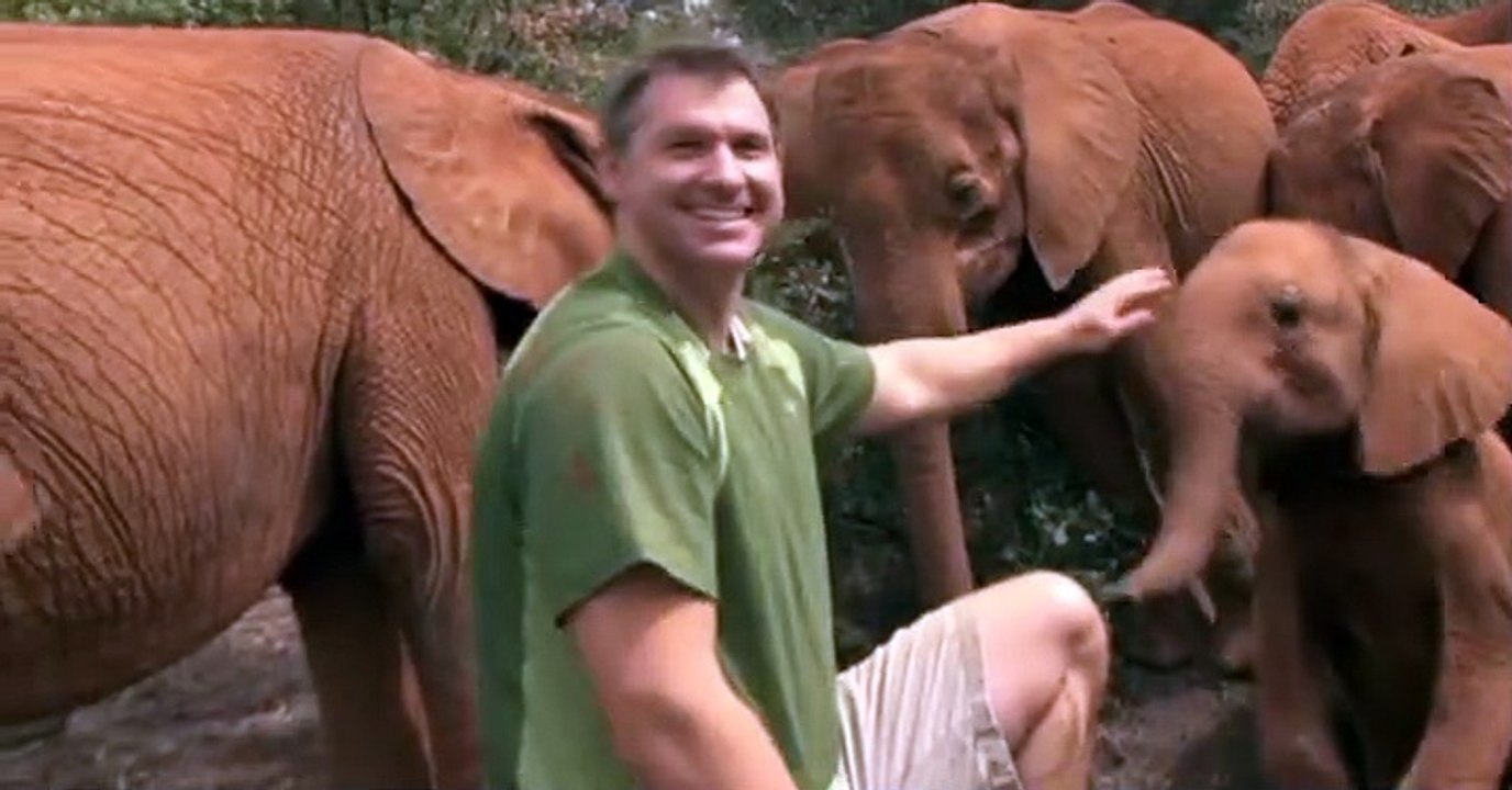 Wild Kratts Wild Kratts S02 E003 – Creature Power Challenge - video ...