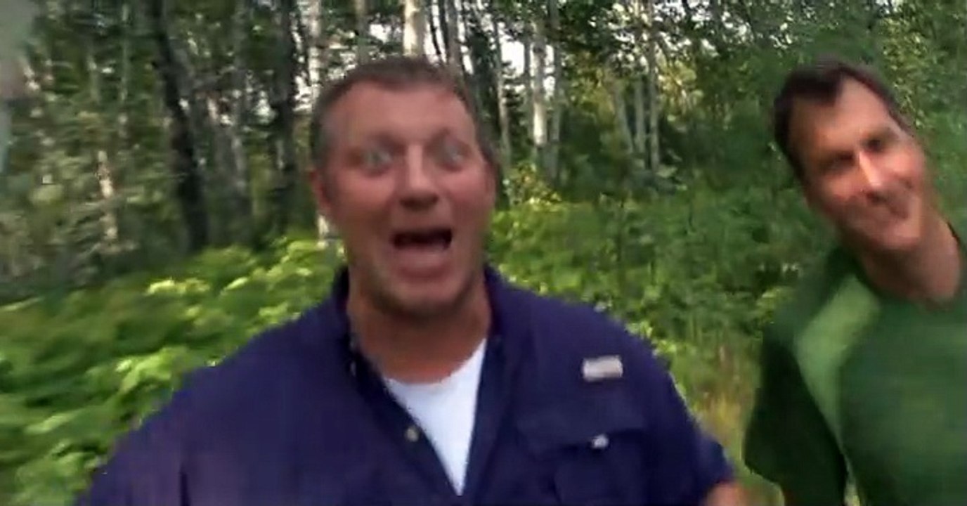 Wild Kratts Wild Kratts S02 E005 – Happy Turkey Day - video Dailymotion