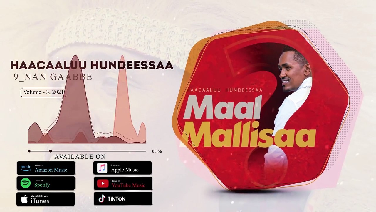 Hachalu Hundesa - Nan Gaabbe - video Dailymotion