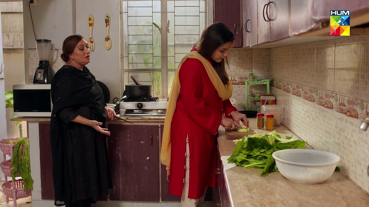 Ghuni Meesni Larki Ameer Zaday Ke Sath Farar !! #hinaaltaf #junaidkhan ...