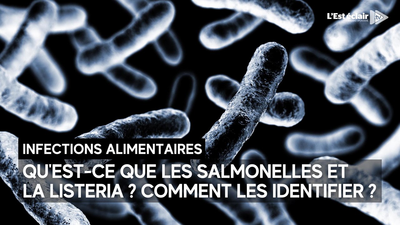 Qu'est-ce que sont les salmonelles et la listeria, à l'origine de ...