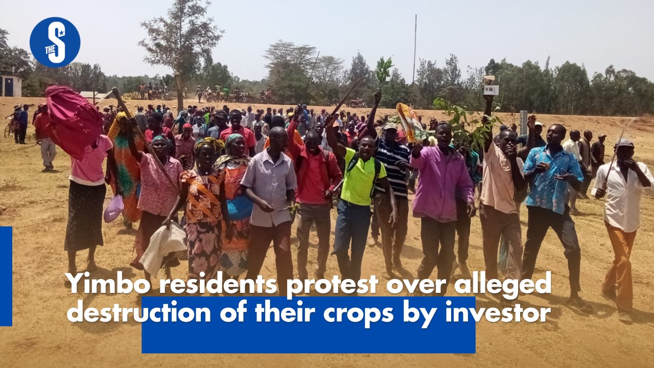 Yimbo residents protest over alleged destruction of their crops by ...