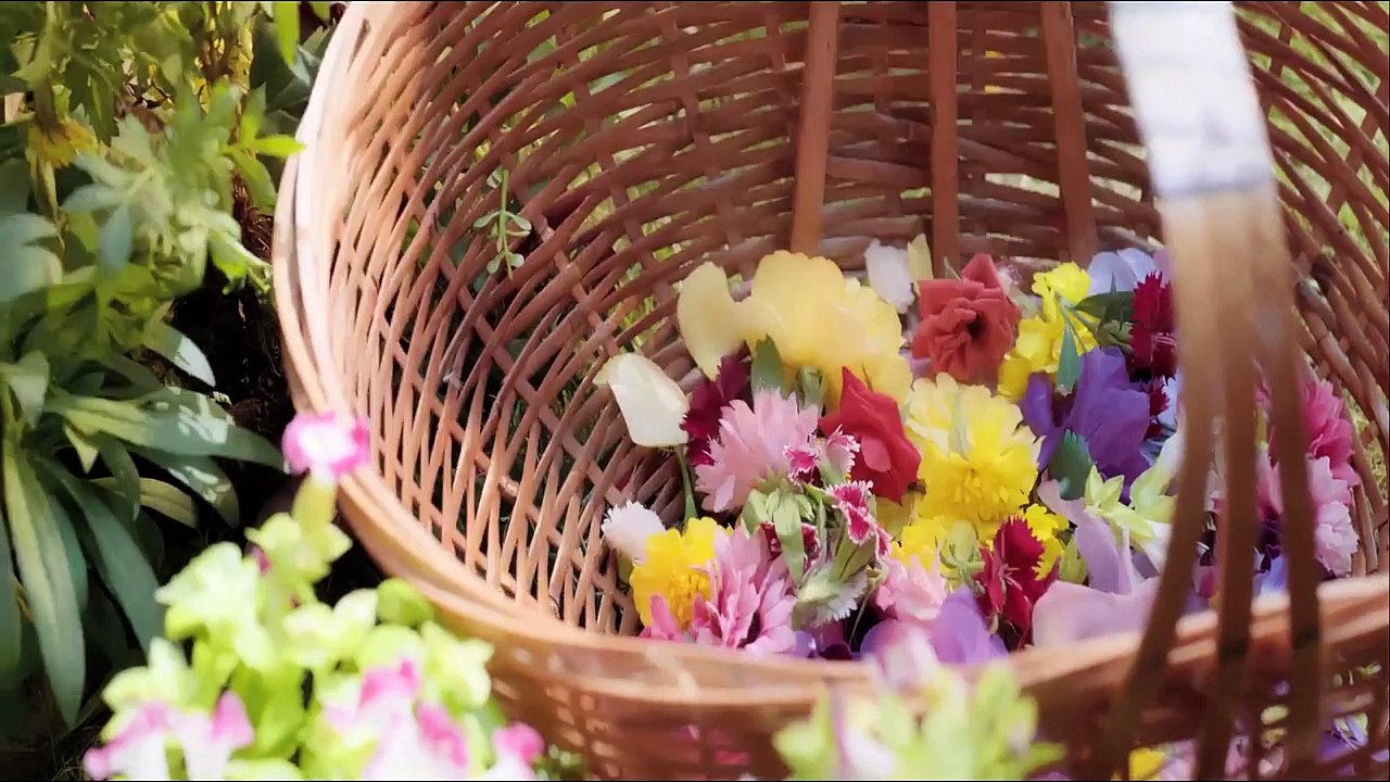 Lich Hand to Destroy Flower (2020) Watch HD - Vídeo Dailymotion