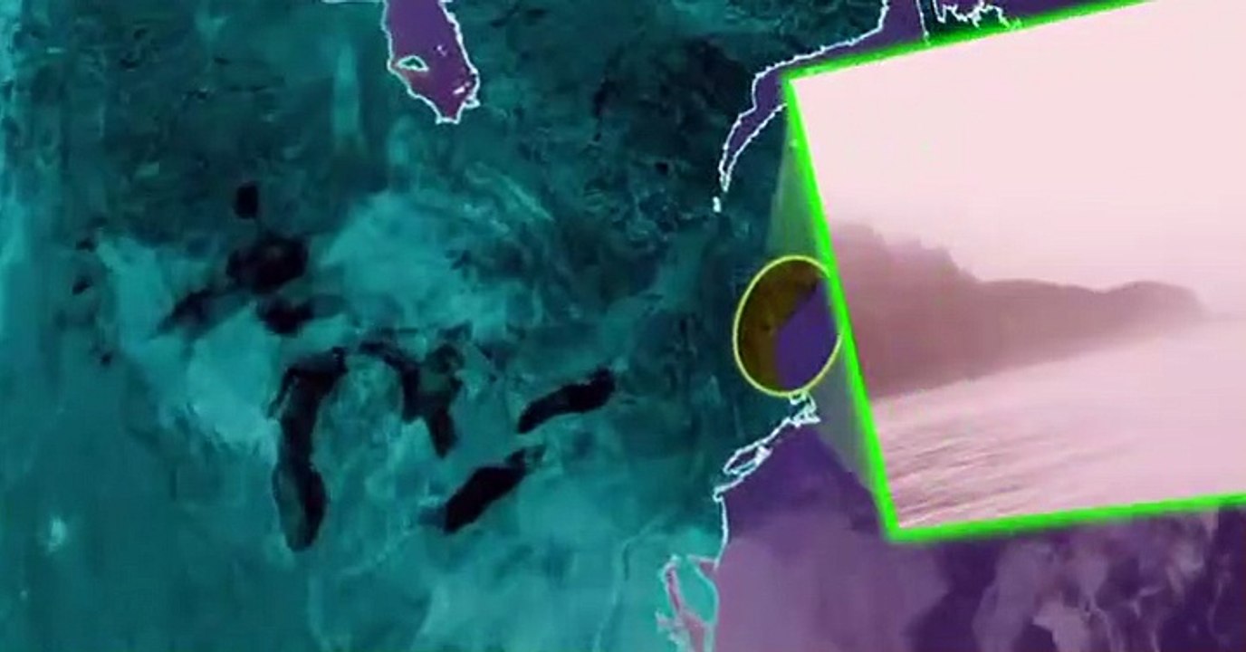 Wild Kratts Wild Kratts S04 E006 – Puffin Rescue - video Dailymotion