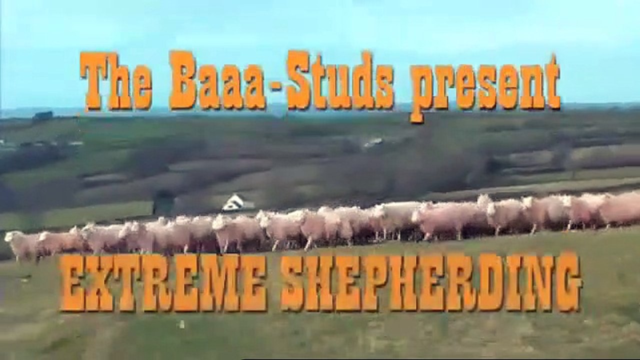Extreme Sheep LED_Art!! - Vidéo Dailymotion