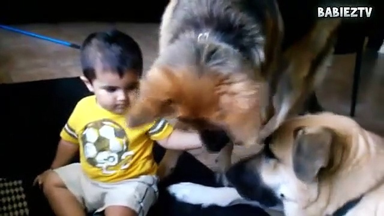 Big Dogs Playing with Babies Compilation 2015 - Watch For Funny Videos ...