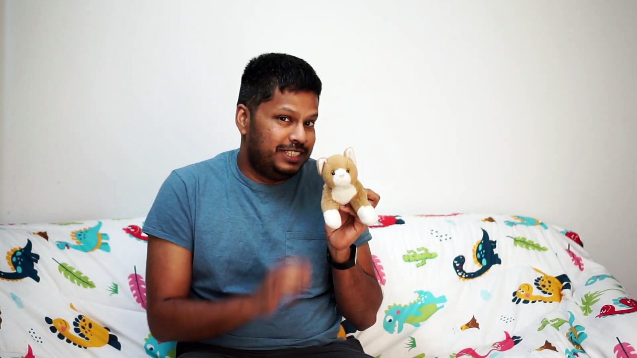 പൂച്ച നല്ല പൂച്ച Poocha Nalla Poocha Cat Rhyme Malayalam from Abhi ...