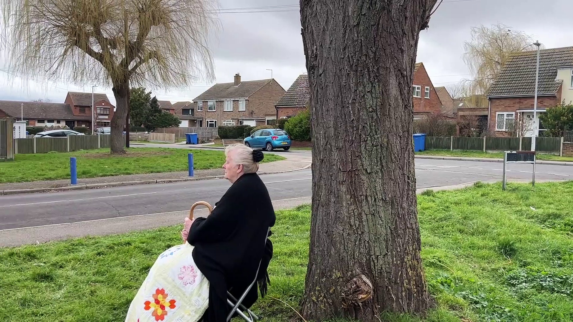 Virginia Hanley speaks about tree battle