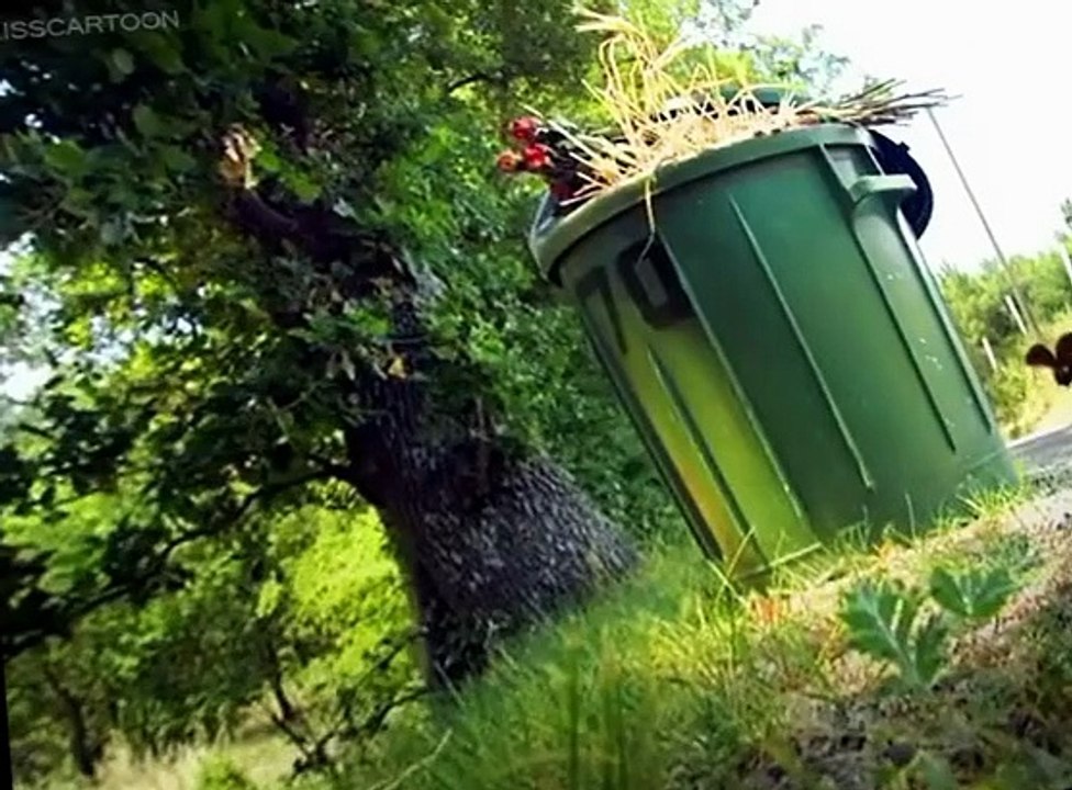 Minuscule Minuscule S01 E002 Love Story - video Dailymotion