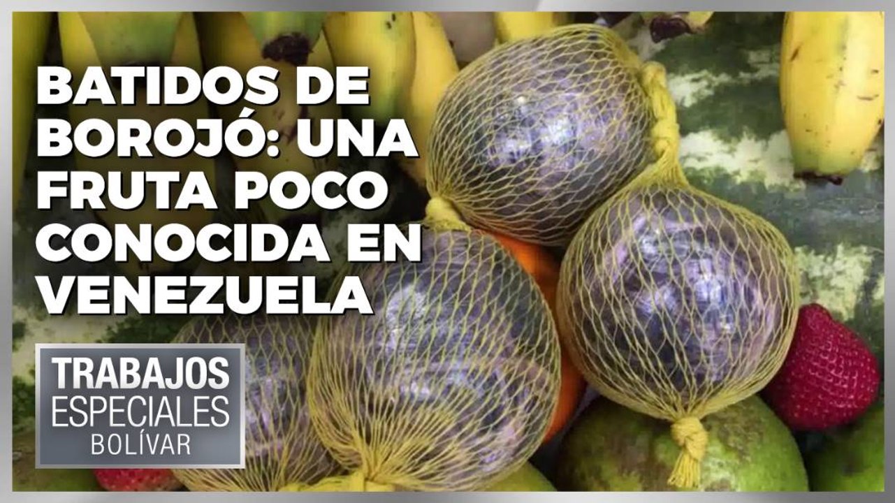 Batidos de borojó: una fruta poco conocida en Venezuela - Especiales ...