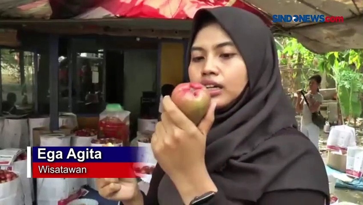 Asyiknya Wisata Makan Jambu Air Khas Demak - Video Dailymotion