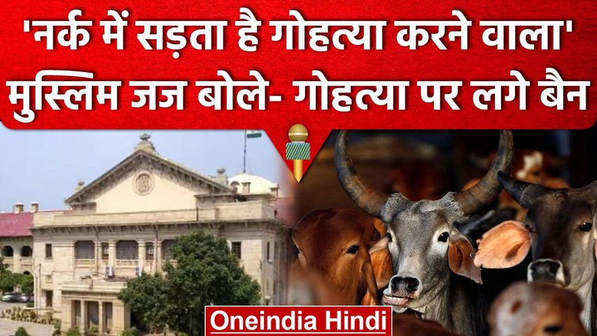 Allahabad High Court Cow Slaughter मामला: जांच में केवल गाय का गोबर ...