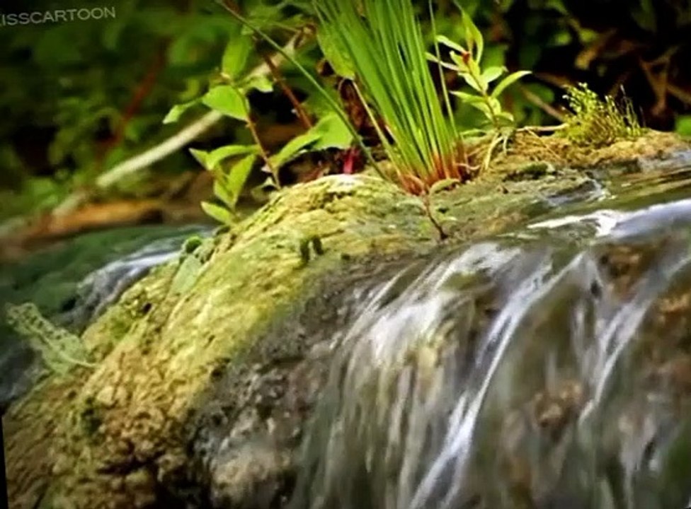 Minuscule Minuscule S02 E007 The Caterpillar Who Wanted to See the ...