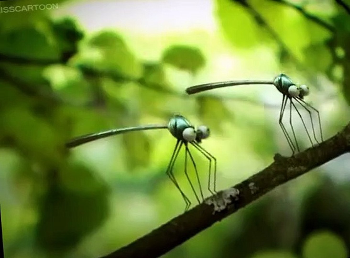 Minuscule Characters