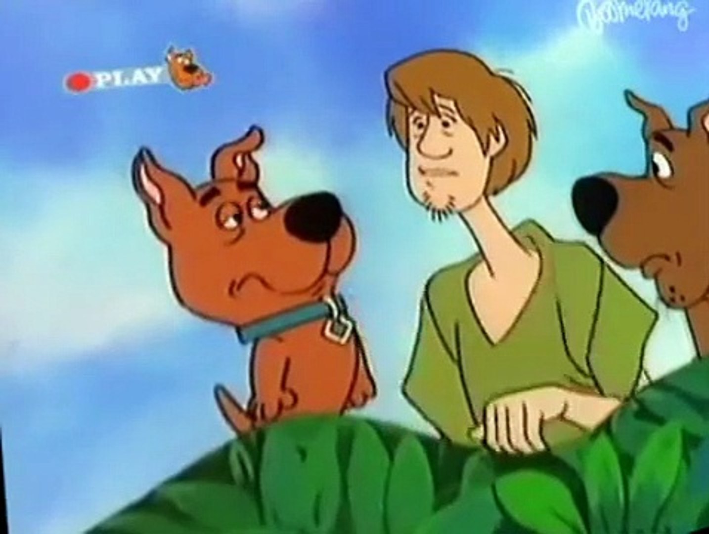 Scrappy Doo And Scooby Doo