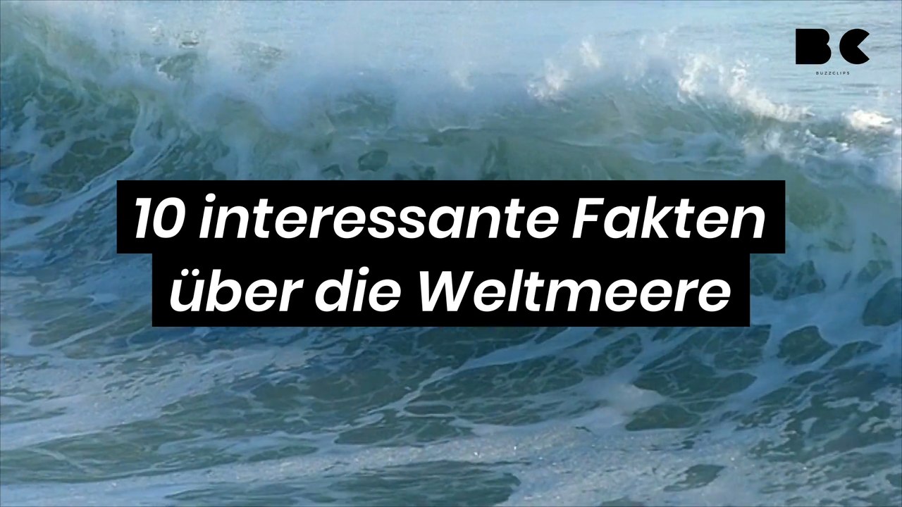 10 interessante Fakten über die Weltmeere - video Dailymotion