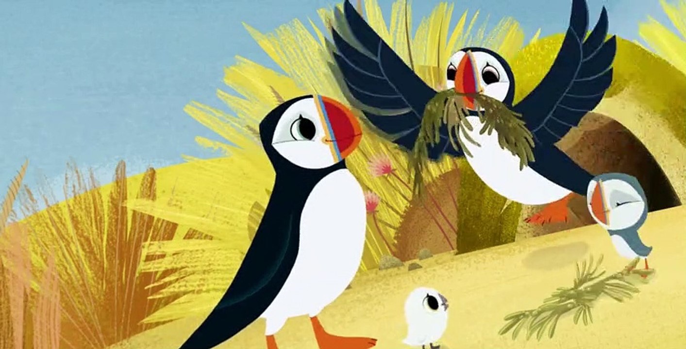 Puffin Rock S02 E08 - video Dailymotion