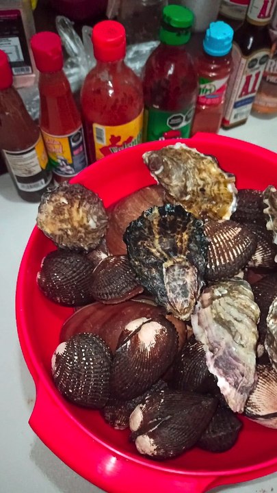 ostion almejas chocolata pata de mula marisco fresco recien pescado de ...