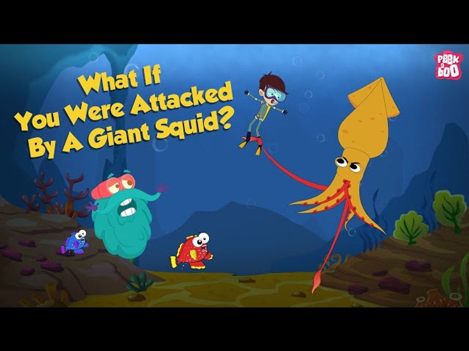 What If You Were Attacked By A Giant Squid? | Squid Attack | The Dr ...