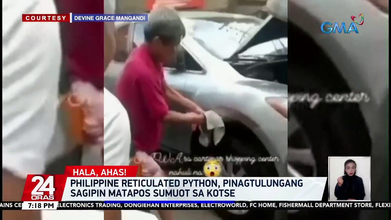 Philippine reticulated python,pinagtulungang sagipin matapos sumuot sa ...