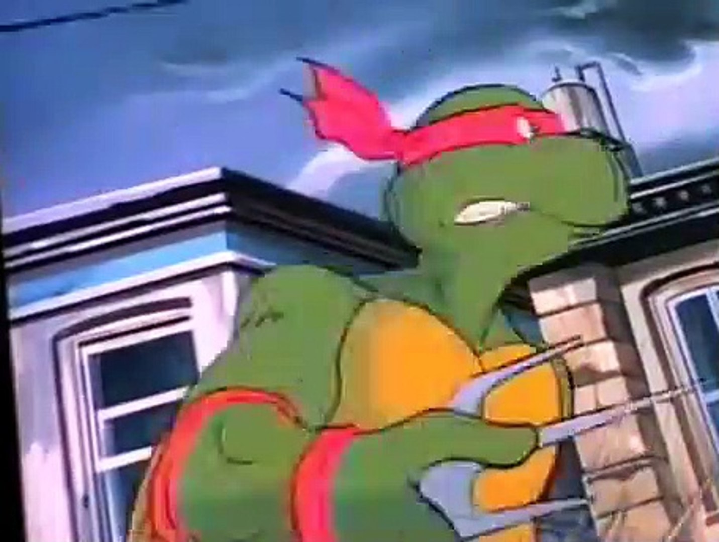 Teenage Mutant Ninja Turtles 2024 Irma