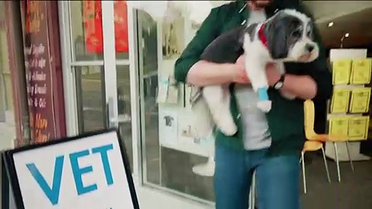 RSPCA Pet Insurance - 'Reasons Great and Small' TV Ad 60 Sec - video ...