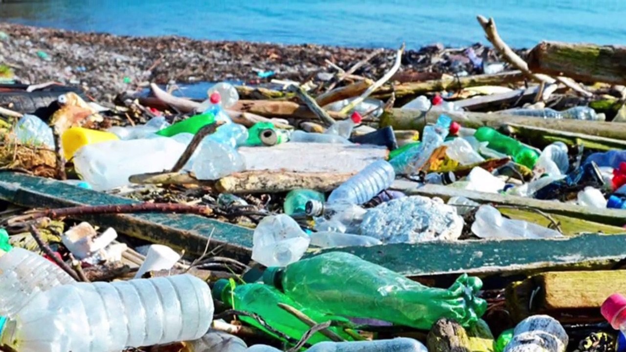 Padiham St. Leonard's CofE Primary School pupils learn about plastic ...