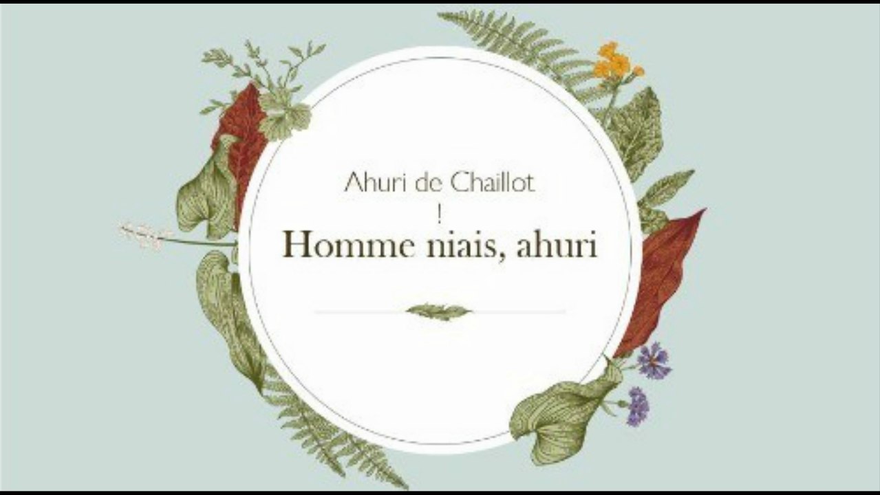 20) Ahuri de Chaillot ! Homme niais, ahuri. Proverbe Français ...