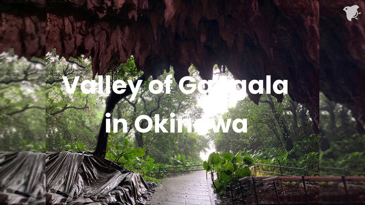 Valley of Gangala in Okinawa - 動画 Dailymotion
