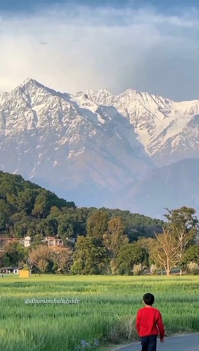 Kangra Valley | Dharamshala Guide - video Dailymotion